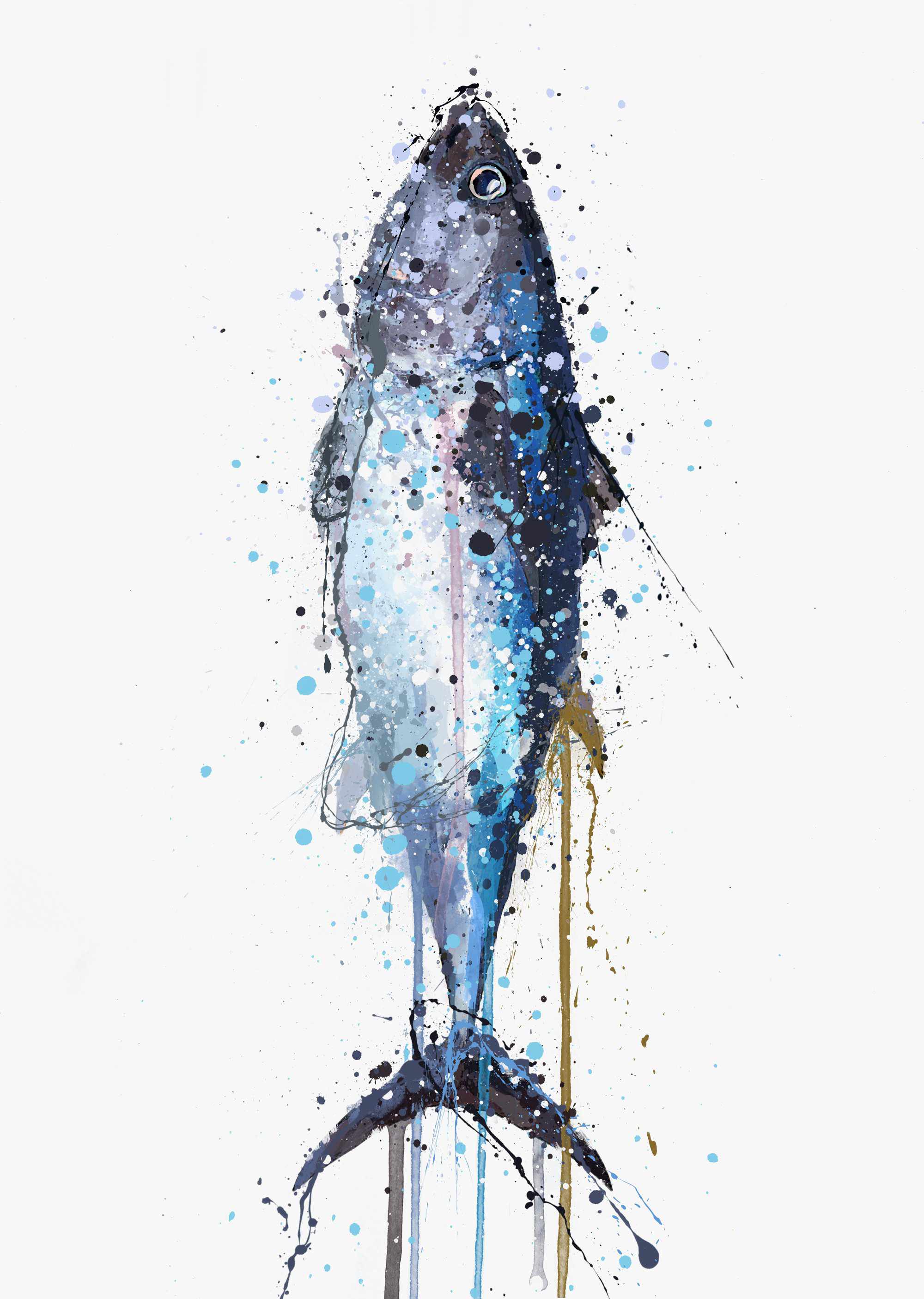 Seafood Wall Art Print 'Tuna' – WE LOVE PRINTS