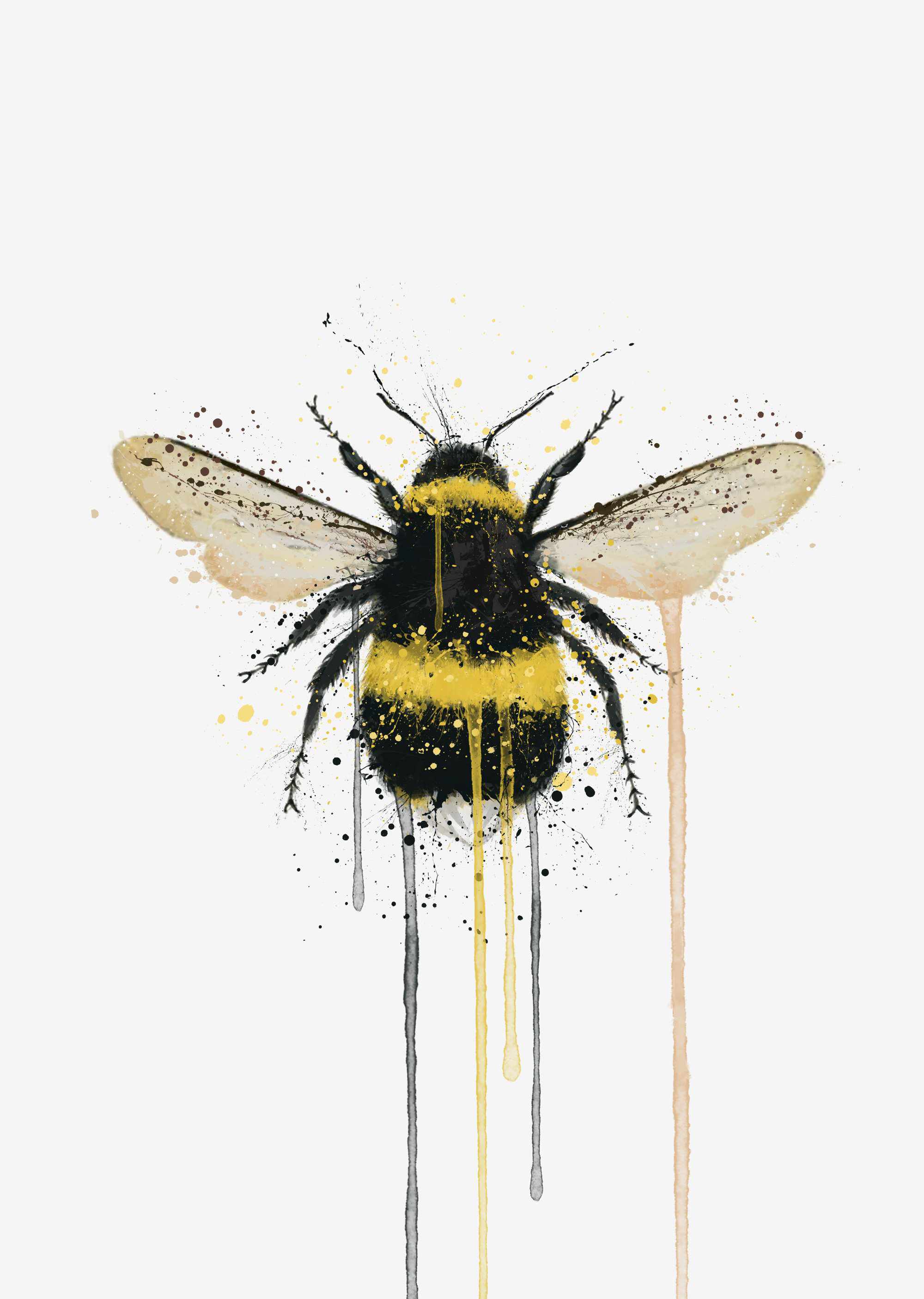 Bumblebee Wall Art Print – WE LOVE PRINTS