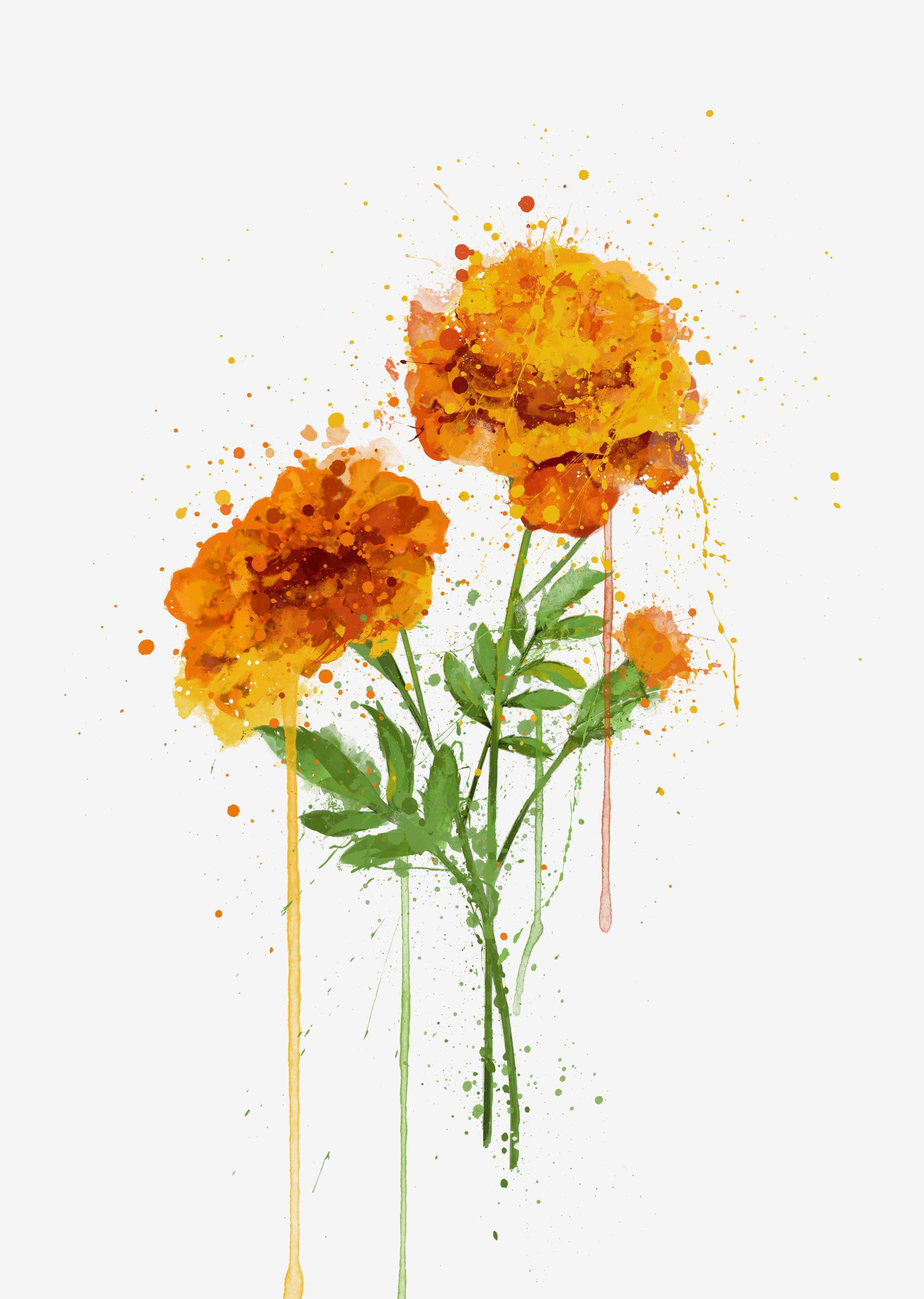 Flower Wall Art Print ‘Marigold' – WE LOVE PRINTS