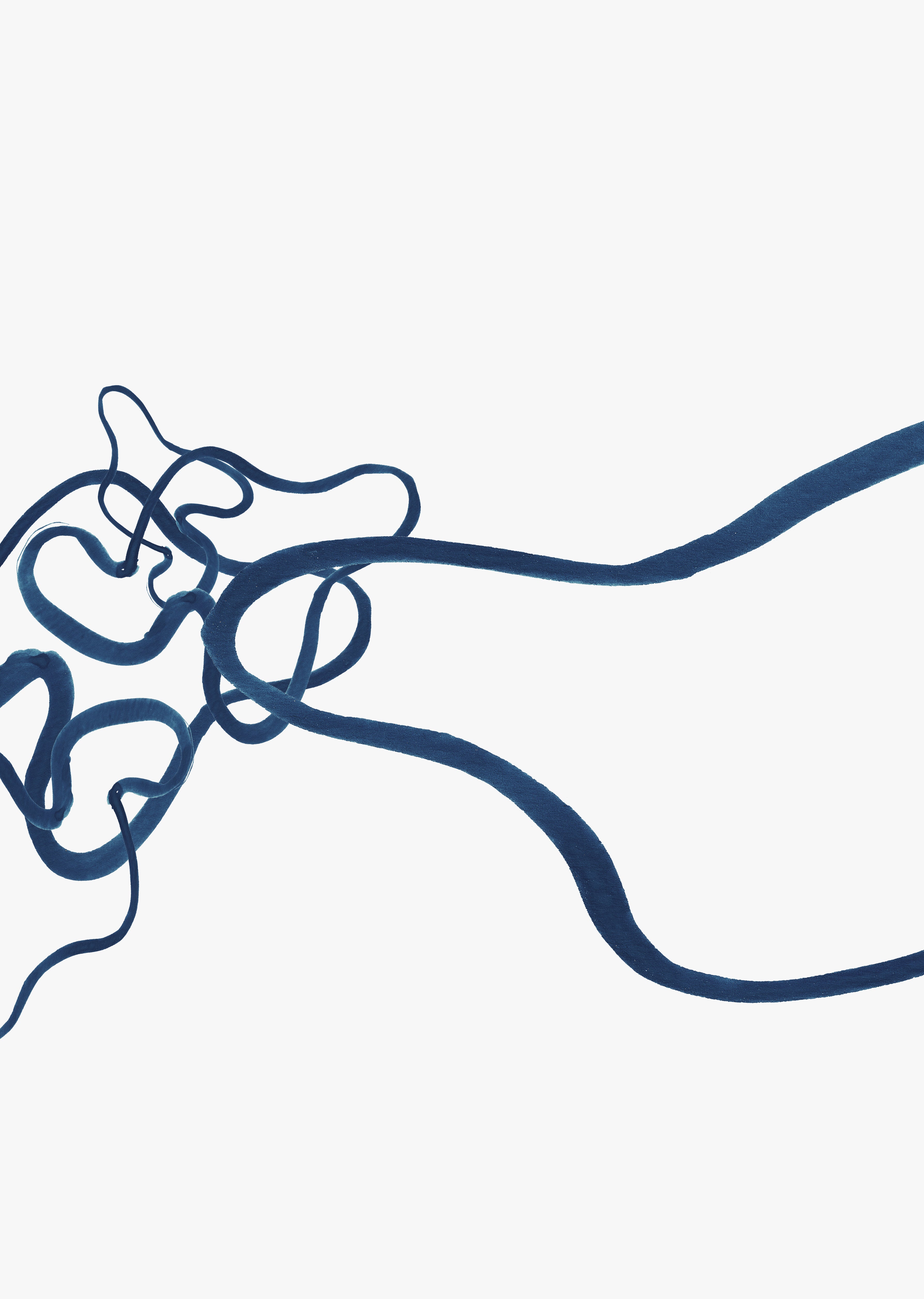 Blue Squiggles (3) Abstract Wall Art Print – WE LOVE PRINTS