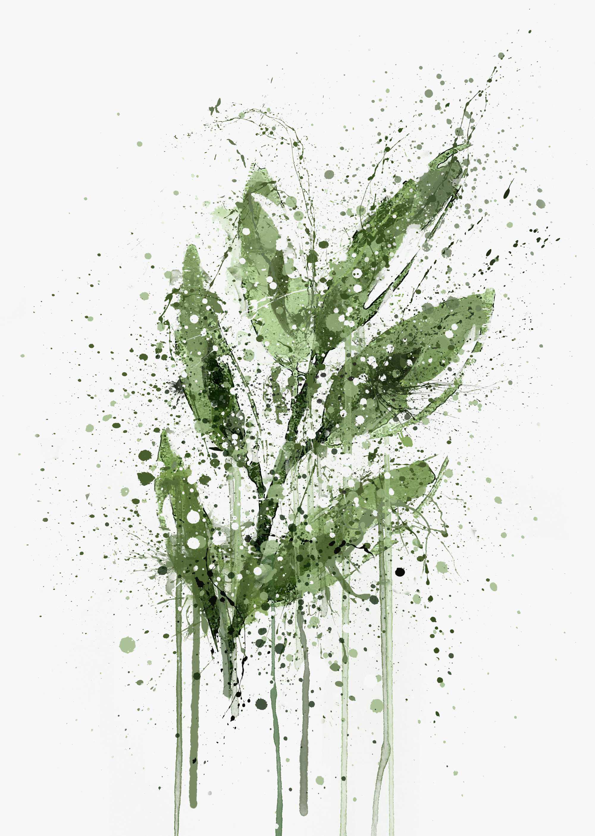 Botanical Wall Art Print 'Ash Leaf' - Plant Prints, Botanical Art Prin ...